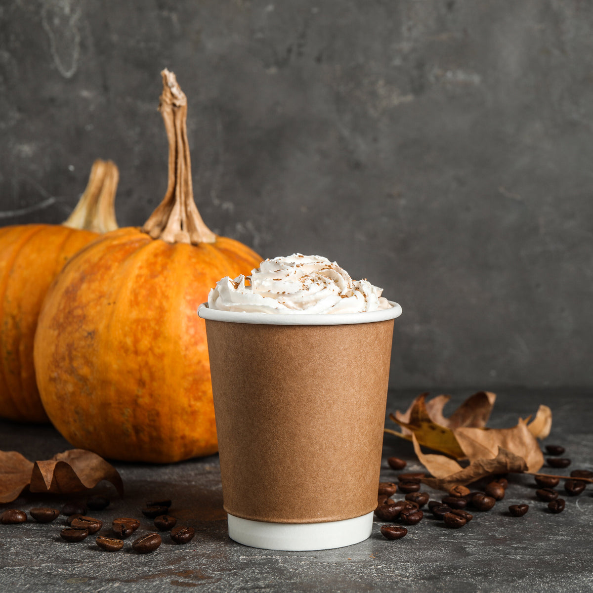 Fall Selection – Barista Underground
