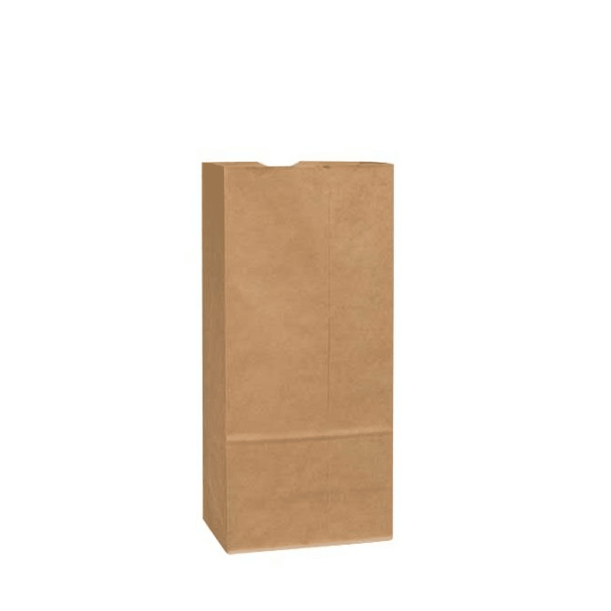 Karat Kraft Paper Bag - 6 lb – Barista Underground
