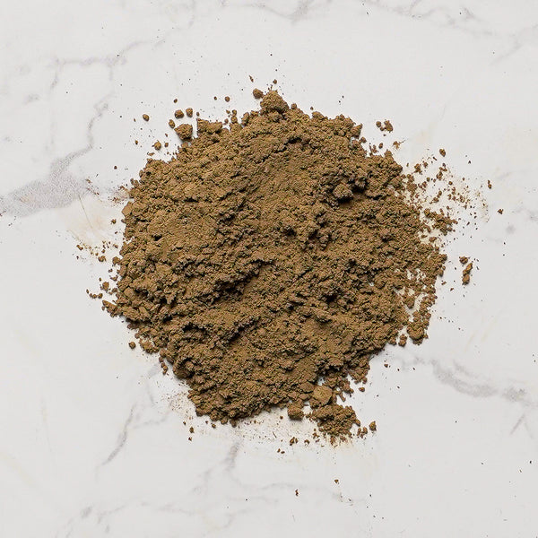 Organic Hojicha Powder – Barista Underground