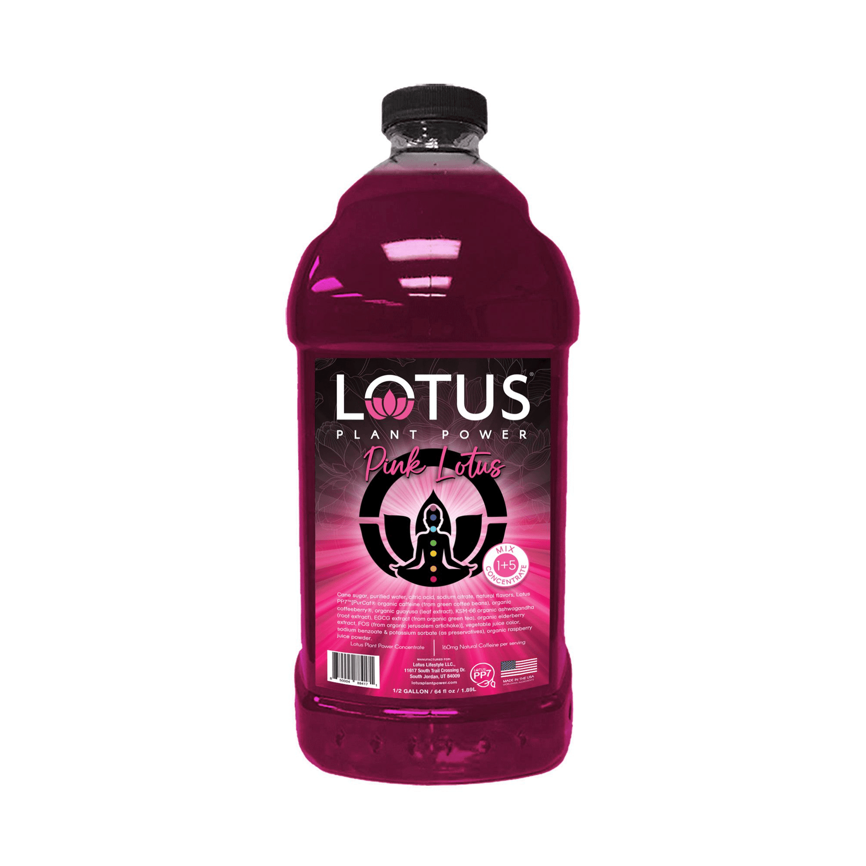 Lotus Plant Energy - Pink Lotus Energy Concentrate – Barista Underground