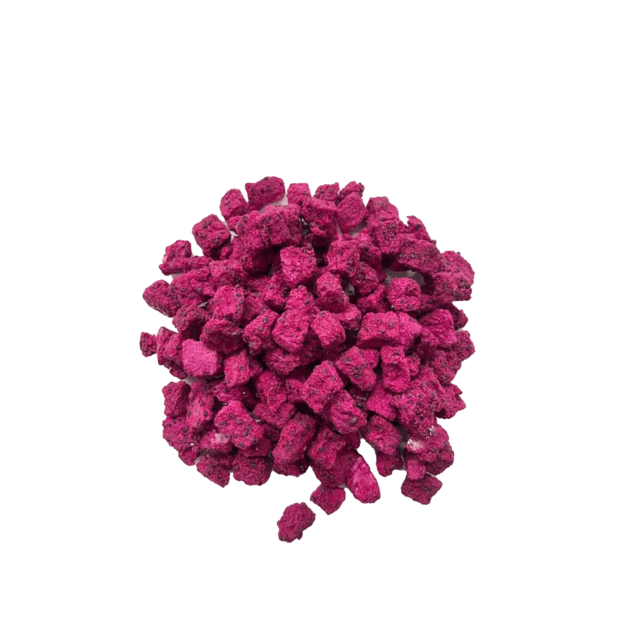 Innovative Freeze Dried Fruits - Dragon Fruit – Barista Underground